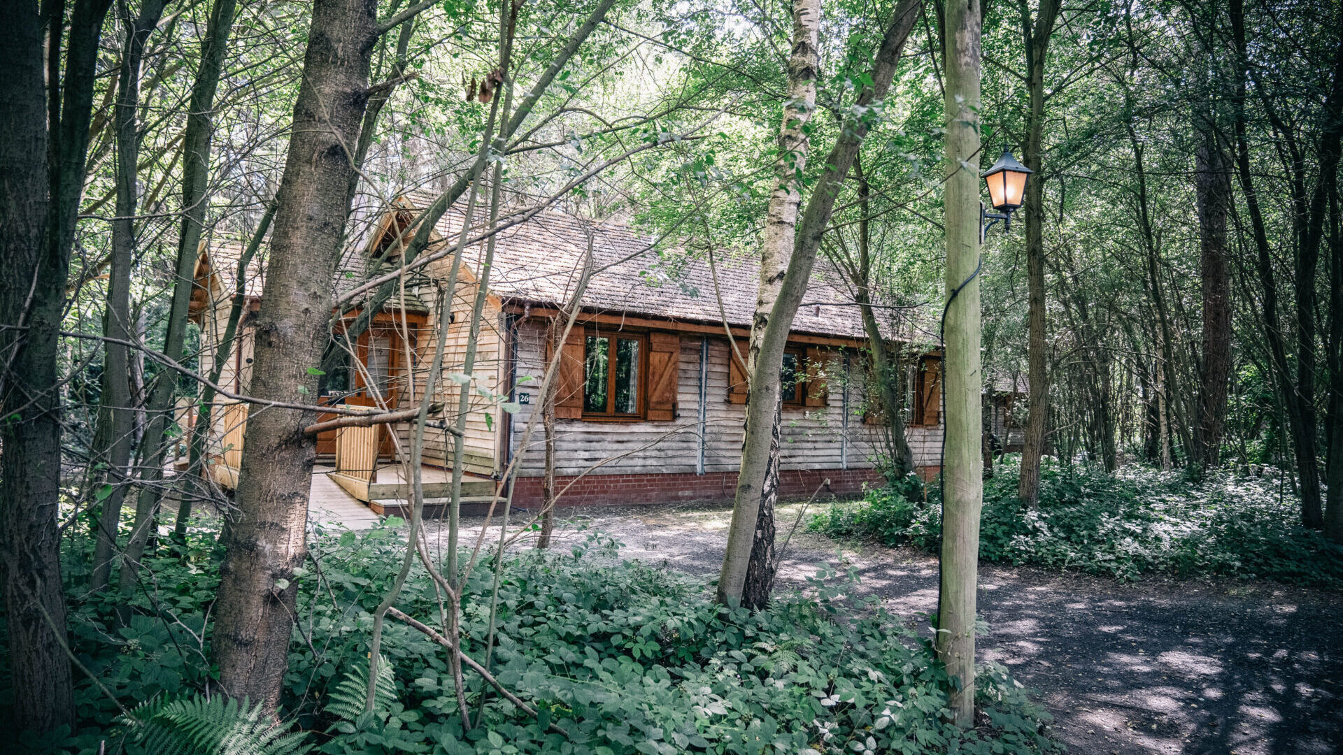 Gardeners Lodge (pet) - Griffon Forest