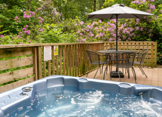Holiday lodges each with hot tubs in 1000 acres of woodland